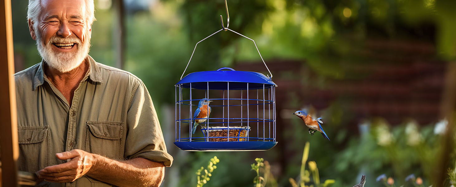 How to Choose the Right Bird Feeder by Features