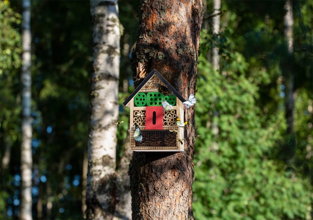 Ultimate Guide to Choosing the Perfect Bird Feeder for Every Seed Type