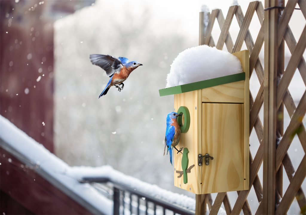 Top 8 Spring Birds to Spot: A Must-See List for Birdwatchers